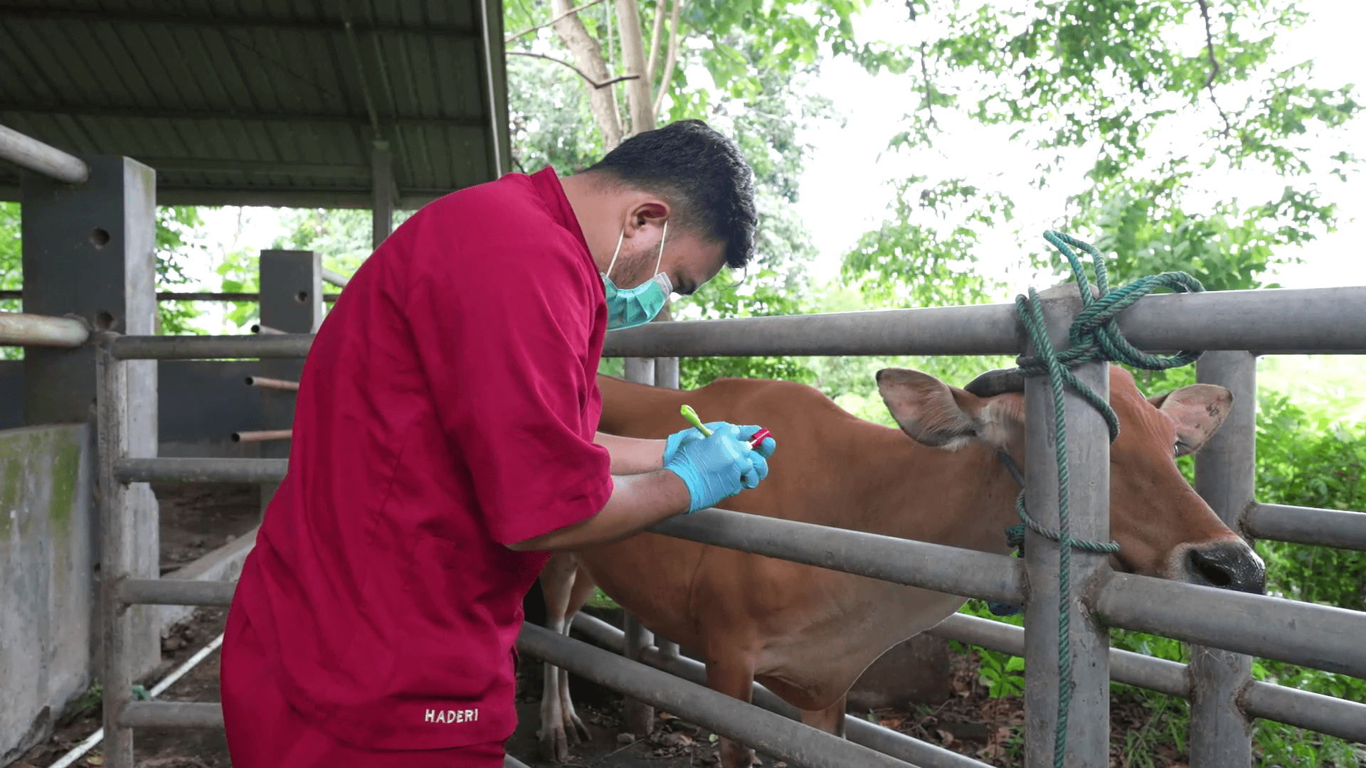 Instalasi Hewan Coba - Balai Besar Veteriner Maros